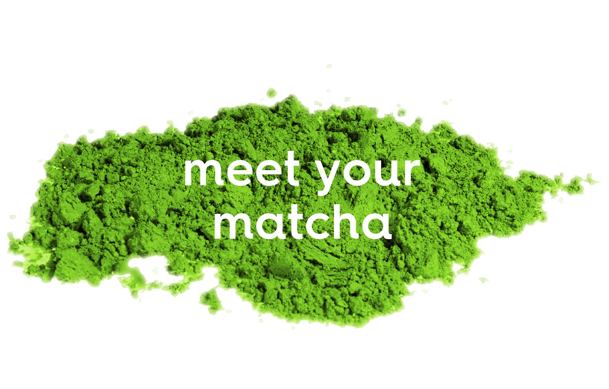 How To Get Rid Of Matcha Stains in 5 Easy to Follow Steps